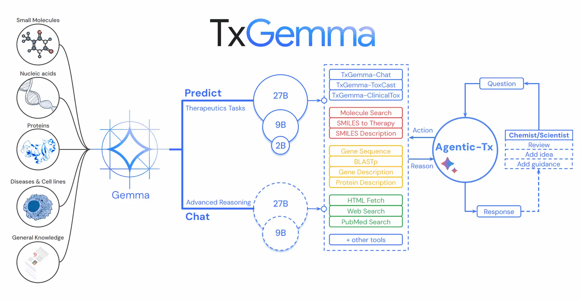 Google Deepmind Launches Open Source TxGemma for Drug Development | Joshua Berkowitz